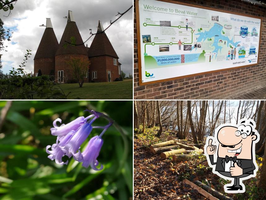 All places to eat and drink in Wadhurst, summer 2024 - Restaurant Guru