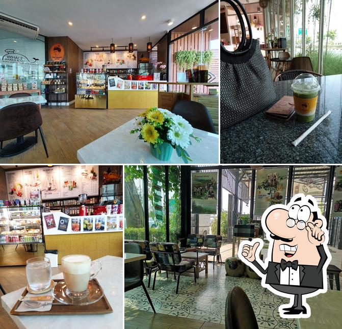 Doi Chaang Coffee RP, Bangkok, 49 Ratchaphruek Rd - Restaurant reviews