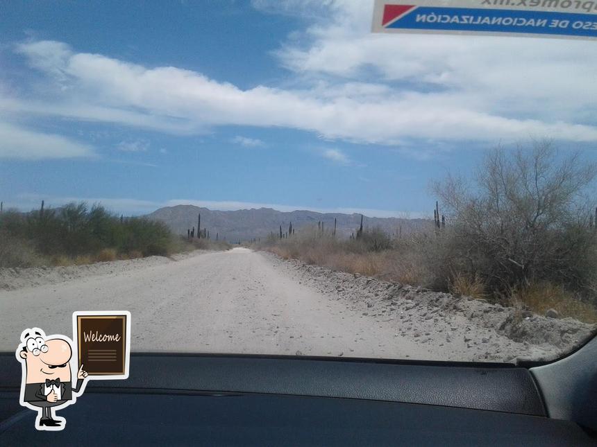 Restaurant El Cardonal, Mulege - Restaurant reviews