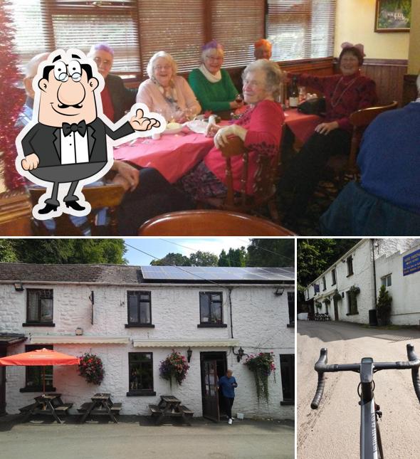 Royal Spring in Lydbrook - Restaurant reviews