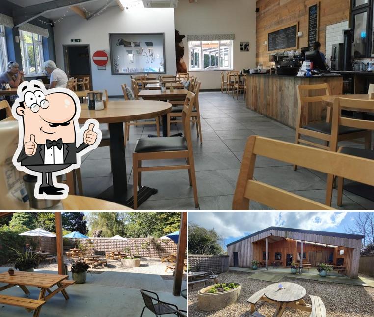 The Grazing Cow, A35, Offwell in Honiton - Restaurant reviews