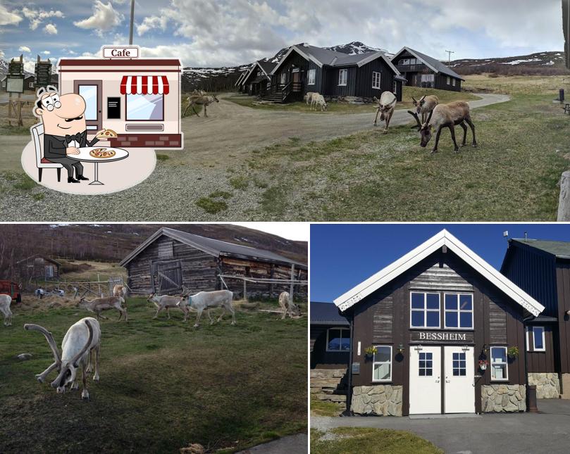 Bessheim Fjellstue og Hytter, Norway - Restaurant reviews
