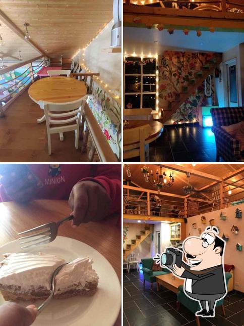 Café De Piccolo, Dehradun, 180 - Restaurant reviews