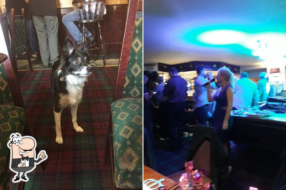 The Maybole Arms, Maybole - Restaurant menu, prices and reviews