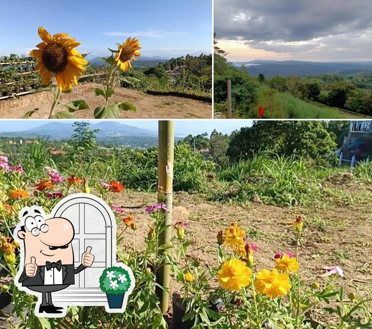 Tanay Viewpoint Garden Cafe & Restaurant by ICHAN, Tanay - Restaurant ...