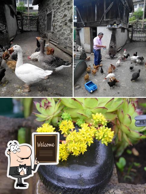 La Corralada in Ponga - Restaurant reviews