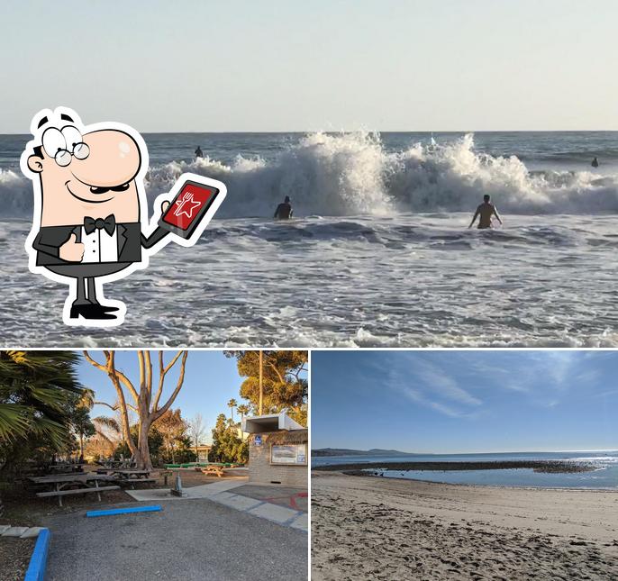 Doheny State Beach Campground in Dana Point