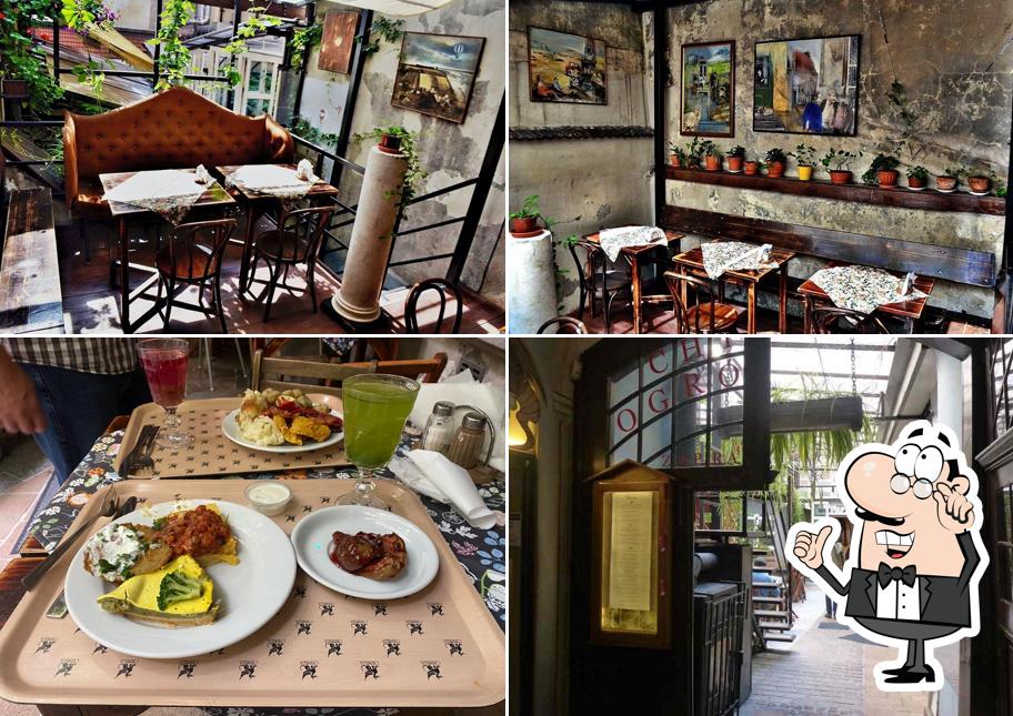 Chimera, Kraków - Restaurant menu, prices and reviews