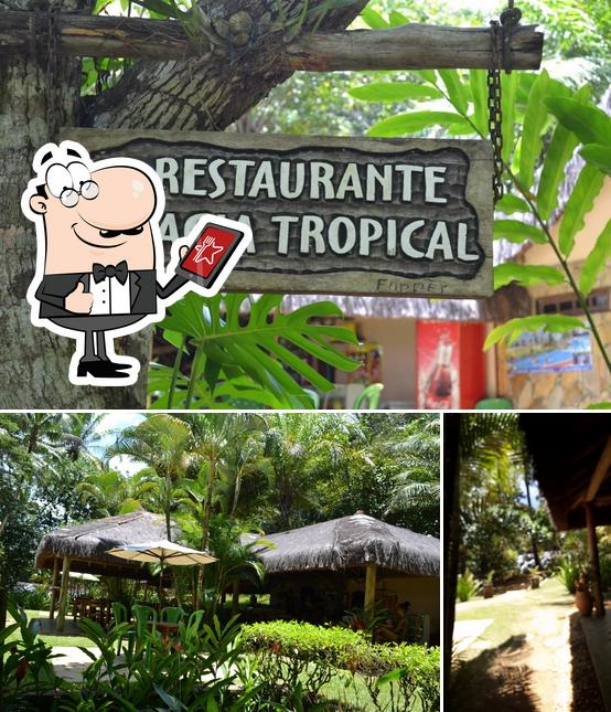 Restaurante Magia Tropical, Brasil - Restaurant reviews