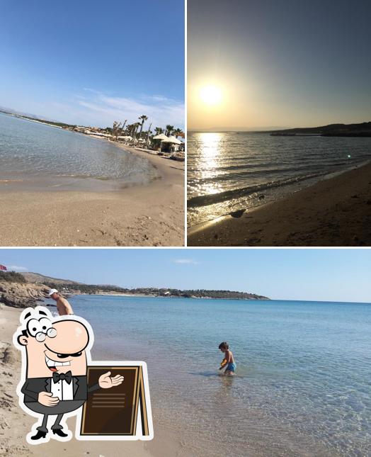 Before Sunset Beach, Çeşme - Restaurant reviews