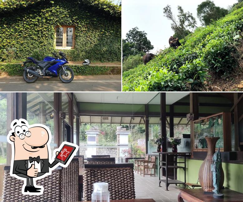 ODAE - Restaurant menu, prices and reviews