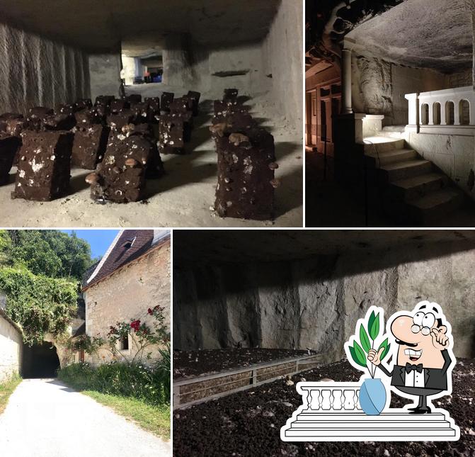 Caves Champignonnieres des Roches restaurant, Bourré