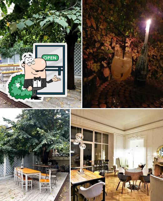 We Cafe, Bucharest - Restaurant menu and reviews