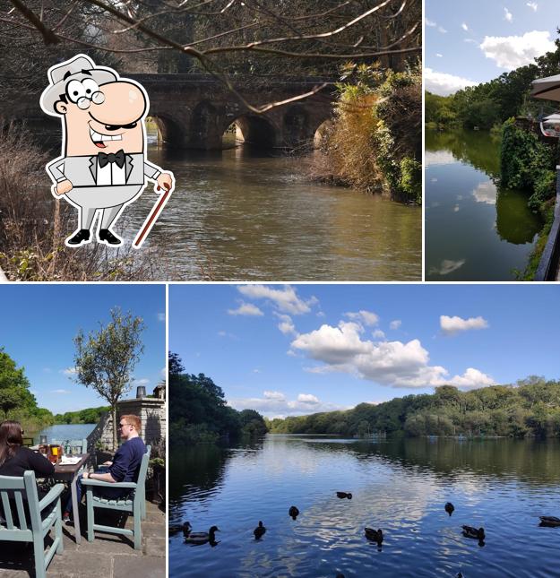 The Fishers Pond, Eastleigh - Restaurant menu, prices and reviews