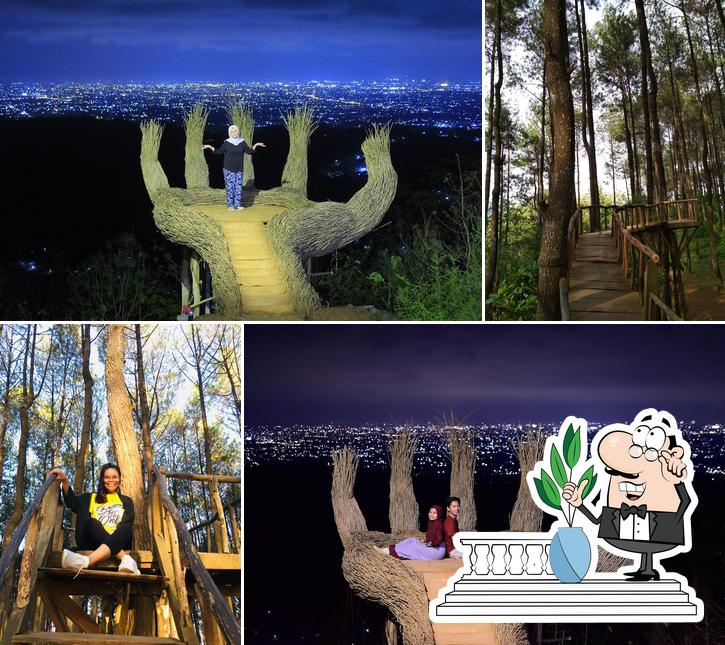 Hutan pinus pengger cafe, Banguntapan