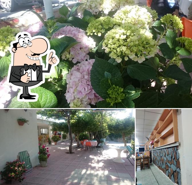Οικογενειακο καφεστιατοριο "Τα Αλωνια", Kyperounta - Restaurant reviews