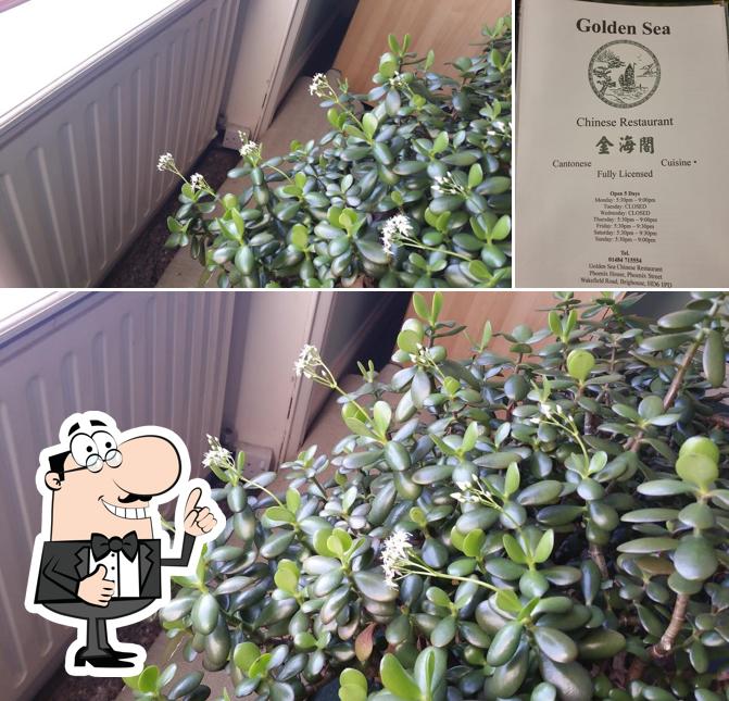 Golden Sea Chinese Restaurant, Brighouse - Restaurant menu, prices and ...
