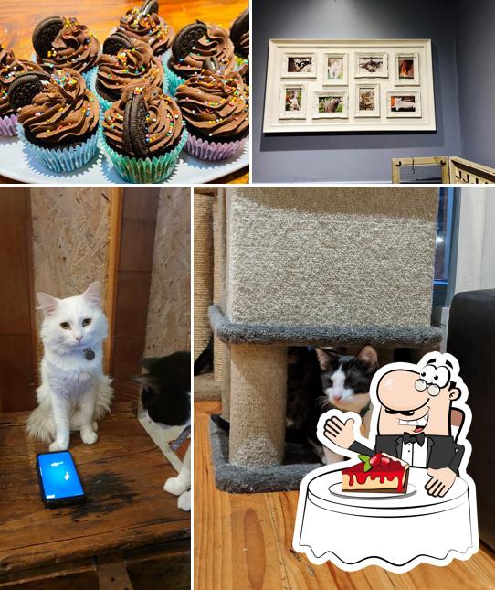 MeowMe Cat Cafe, Parkside - Restaurant menu, prices and reviews