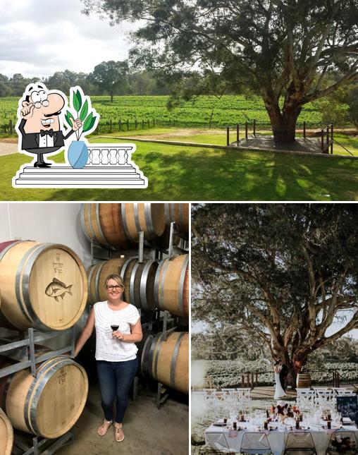 Restaurante Upper Reach Winery, Baskerville - Opiniones del restaurante