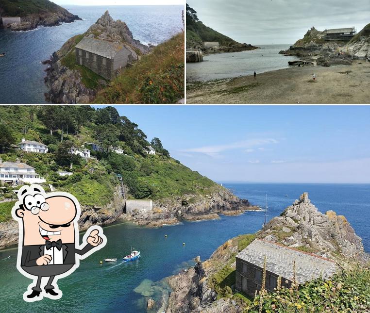 Blue Peter Inn in Polperro - Restaurant menu and reviews