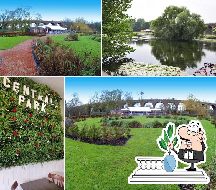 Central Park Cafe in Chelmsford - Restaurant reviews