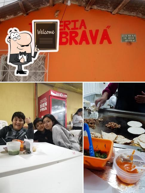 TAQUERIA SALSA BRAVA restaurant, Mexico - Restaurant reviews