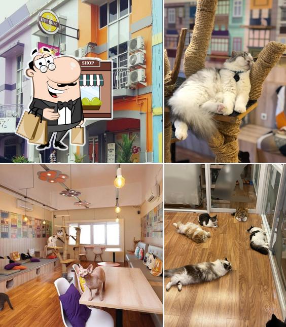Kopicat Cafe by Groovy, Tangerang - Restaurant menu, prices and reviews