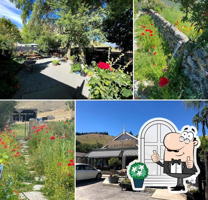 Tarras Country Cafe, Tarras - Restaurant menu, prices and reviews