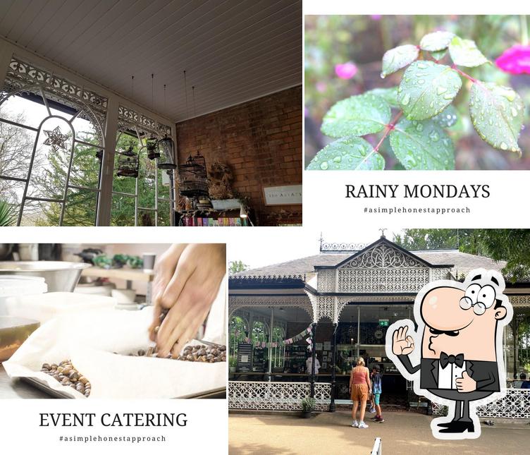 The Aviary Cafe in Royal Leamington Spa - Restaurant reviews