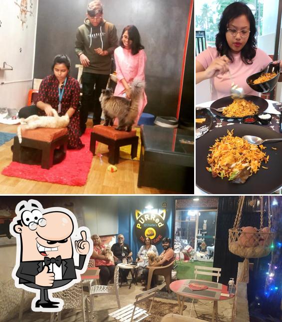 PURRed @Charlie's - The CAT Cafe J P Nagar, Bengaluru - Restaurant menu ...