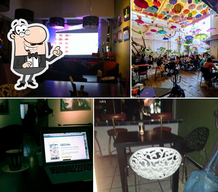La Mata Tinta, Guadalajara - Restaurant menu, prices and reviews