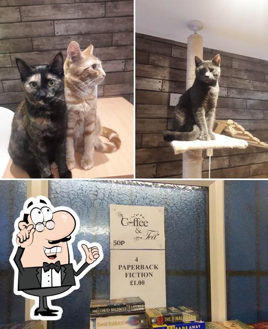 Redcar C.A.T cafe, Redcar - Restaurant menu, prices and reviews
