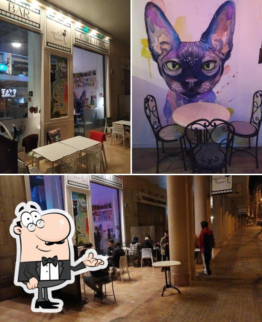 Gato bar, Palma de Mallorca - Opiniones del restaurante