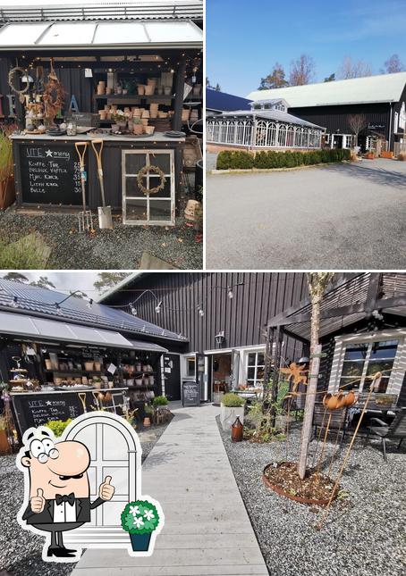 Leva café och hemma cafe, Sweden - Restaurant reviews