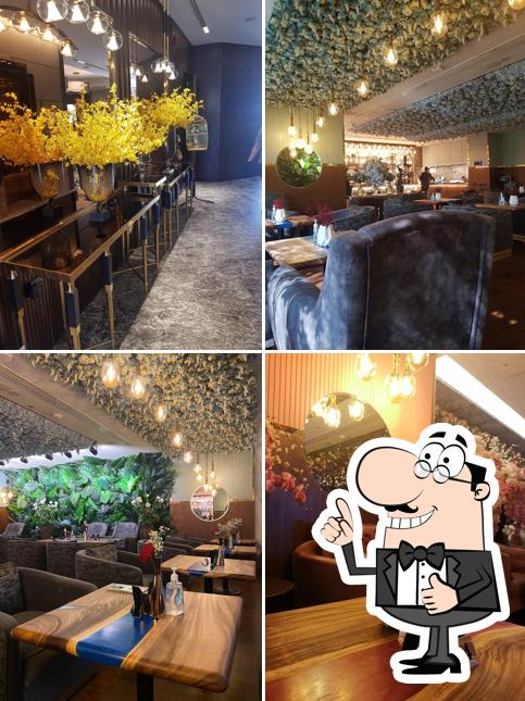 M14 cafe (Corniche branch), UAE - Restaurant menu and reviews
