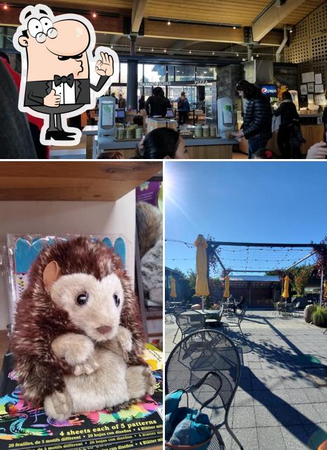 Pine Tree Cafe, 2900 Southern Blvd in Mount Vernon - Restaurant reviews