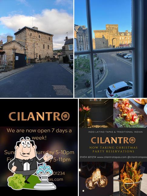 Cilantro in Hexham - Restaurant menu and reviews