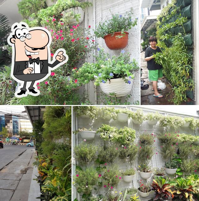 Tara Food Market, West Jakarta - Restaurant menu, prices and reviews