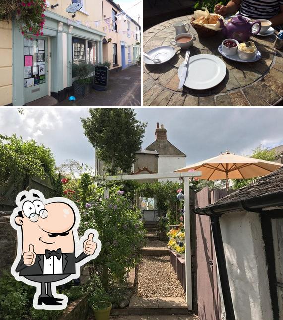 Market Street Kitchen in Appledore - Restaurant menu and reviews