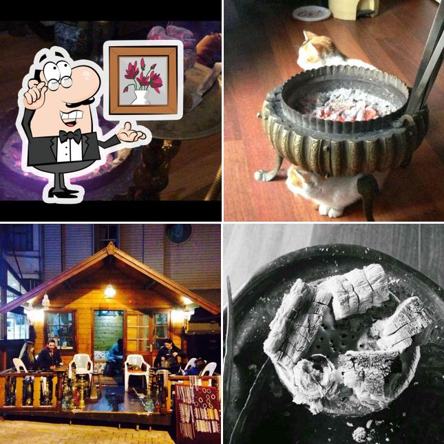 Kutu Nargile, Istanbul - Restaurant menu and reviews
