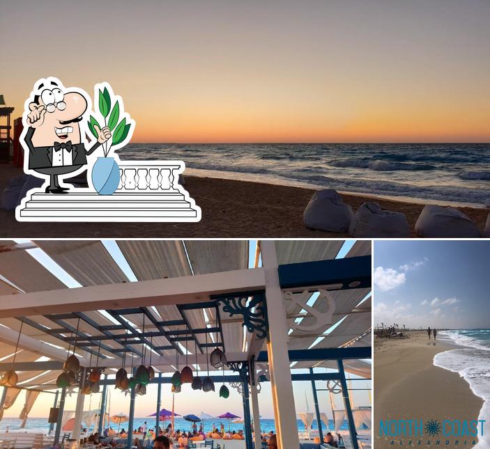 Salt Beach & Restobar, Égypte - Restaurantbewertungen