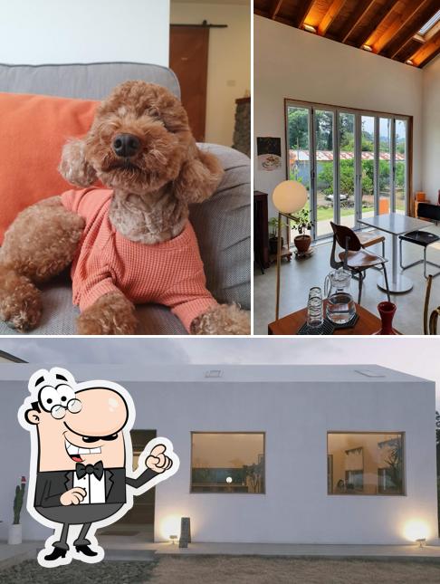 dogot cafe, Jeju-si - Restaurant reviews