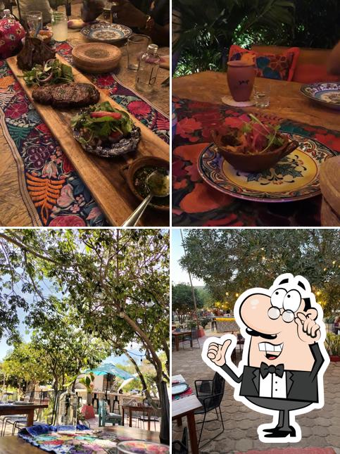 Metate Cabo, Cabo San Lucas - Restaurant menu, prices and reviews