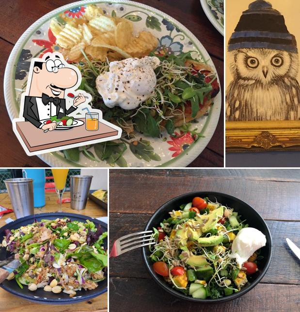 The Blue Owl in Santa Barbara - Restaurant menu and reviews
