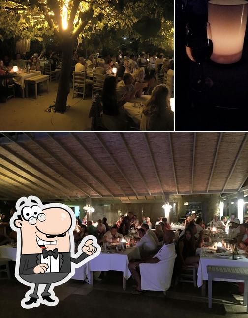 Fanari Fish Restaurant, Turkey, Marti Marina - Restaurant reviews