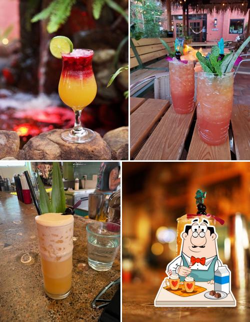 The Toasted Coconut in Houston - Restaurant reviews