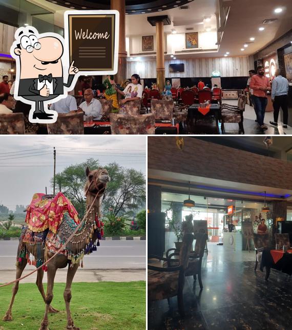 Gajraula Haveli Resort, India, Delhi Nanital highway - Restaurant reviews