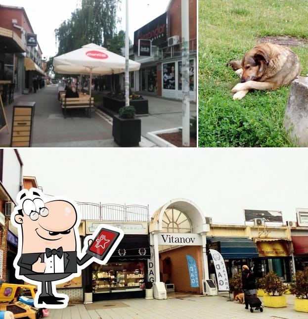 Tc Piramida cafe, Belgrade - Restaurant reviews