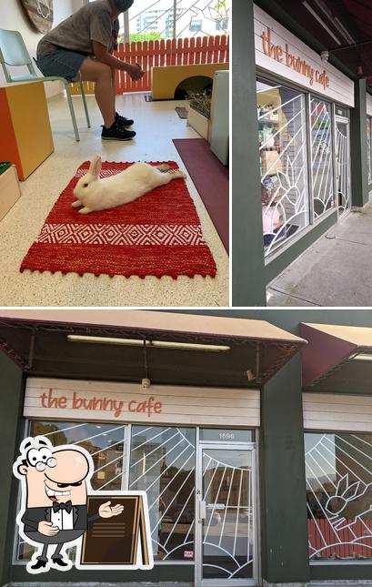 The Bunny Cafe in Vancouver - Restaurant reviews