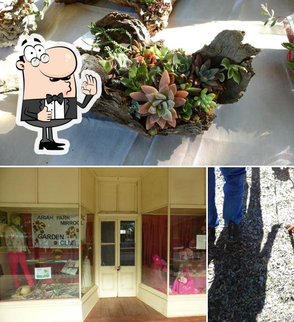 White Rose Cafe (Ariah Park Cafe), Ariah Park - Restaurant menu, prices ...